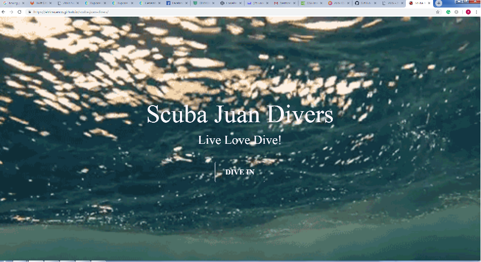 Alvin Suanco | Web Portfolio